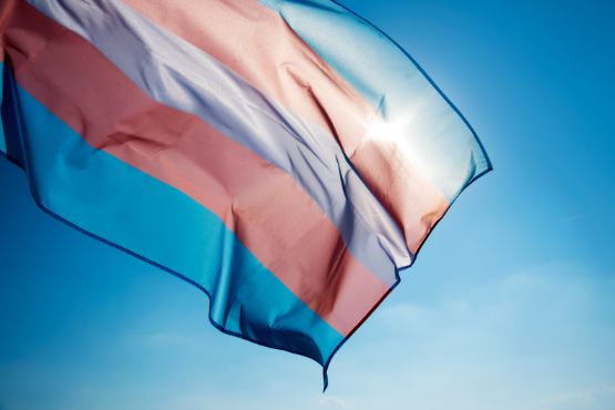 The Jewish Eye: Transgender Rights; Fighting Antisemitism; Israel ...