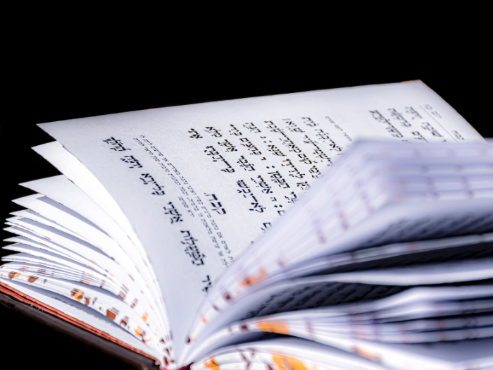 ‘The Jewish texts that changed for me since Oct. 7’: A symposium - Keshet